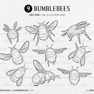 Bee SVG Clipart Bundle. Bumblebee Svg Outline Stamps. Honey Bee Vector ...