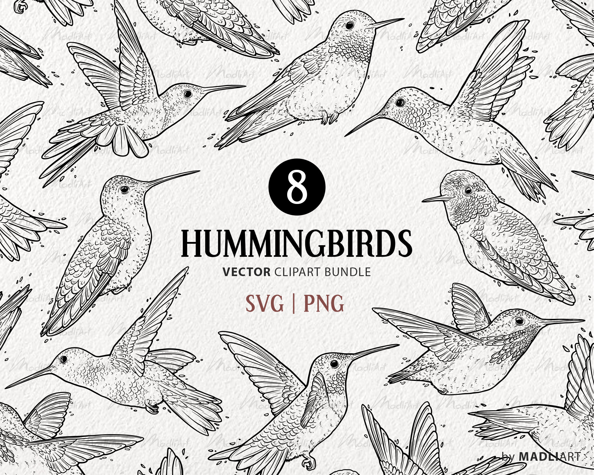 Hummingbird Vector Clipart Bundle. SVG and PNG Cut Files. Little Flying ...