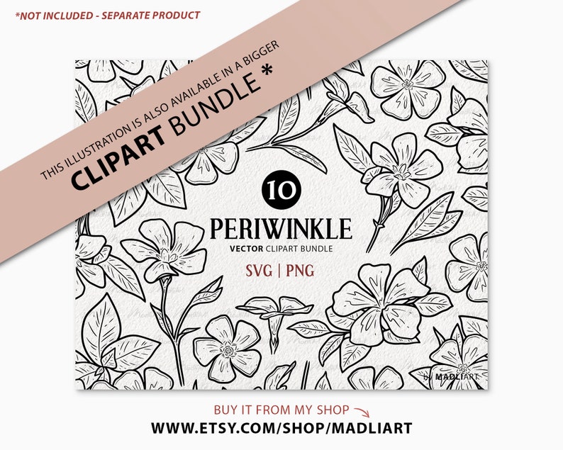 Periwinkle SVG Clipart. Spring Flower Blossom. Periwinkle Vector ...