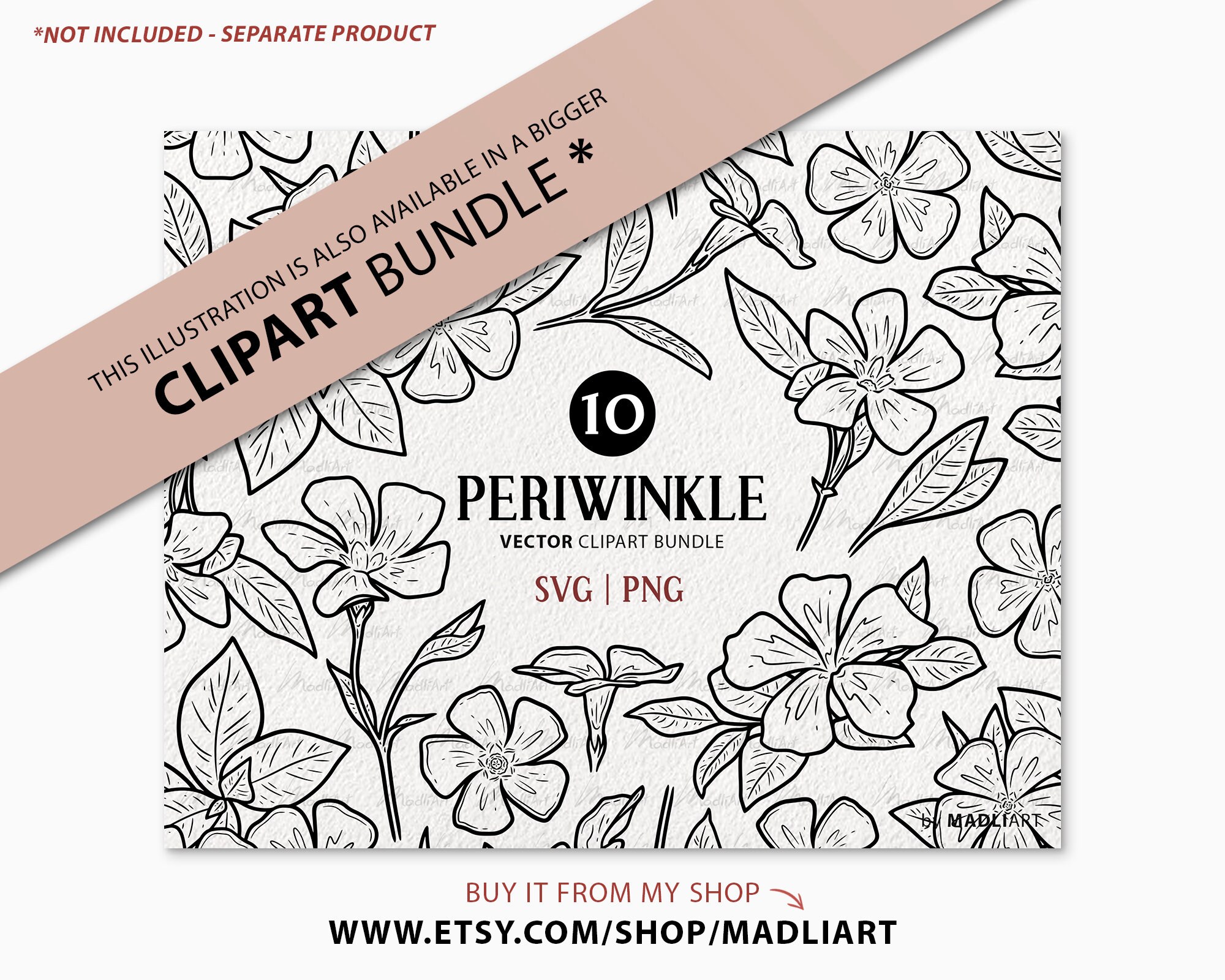 Periwinkle SVG Clipart. Spring Flower Blossom. Periwinkle Vector Drawing. Wildflower Periwinkle ...