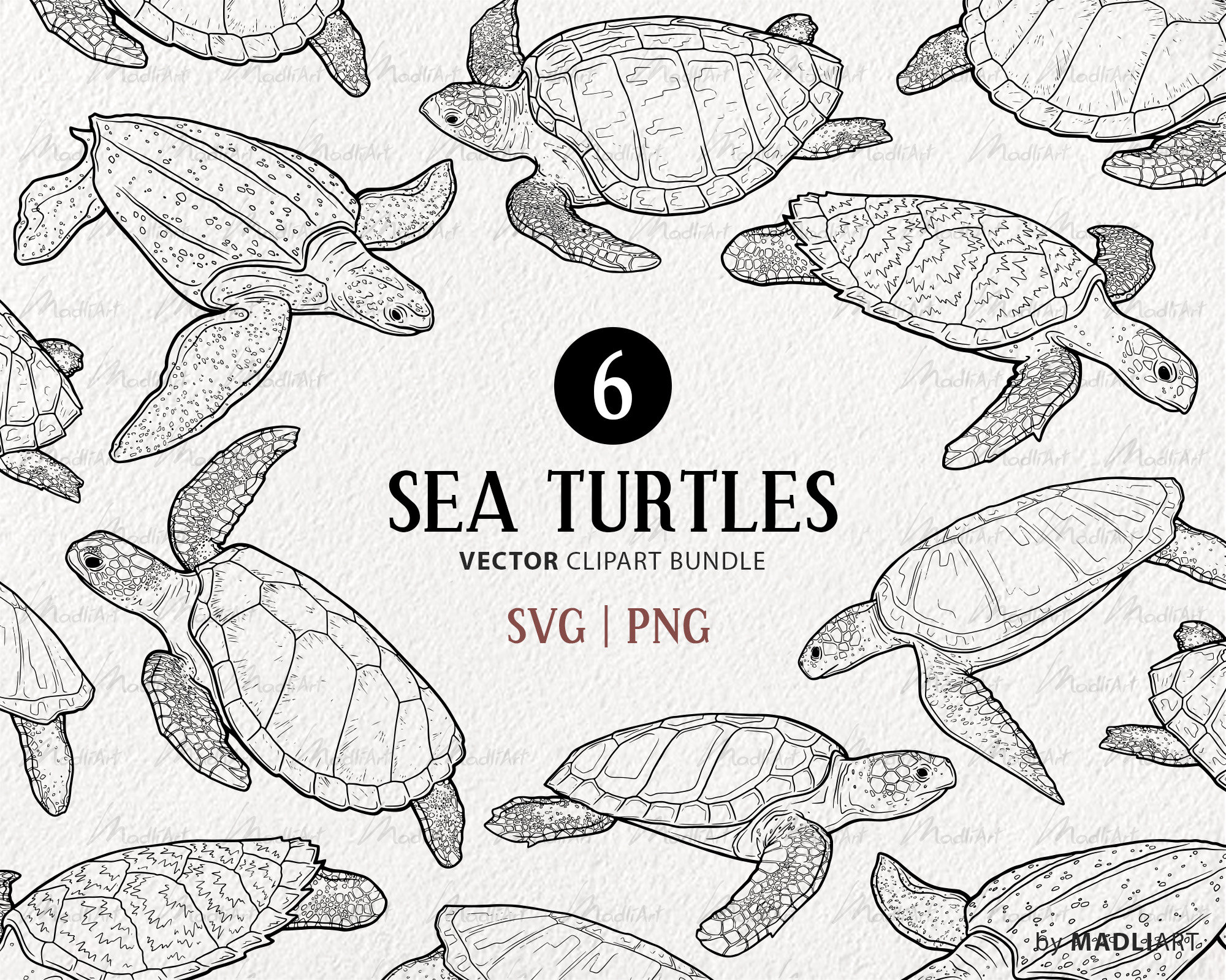 Sea Turtles SVG Clipart Bundle. Ocean Animal Vector Artwork - Etsy UK