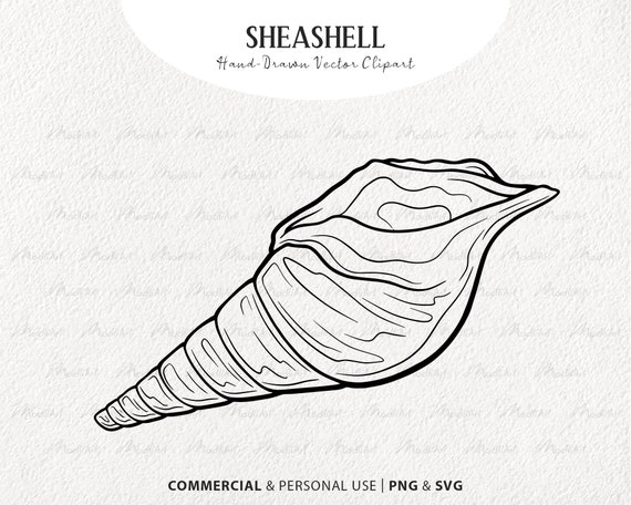 White Shell Clipart