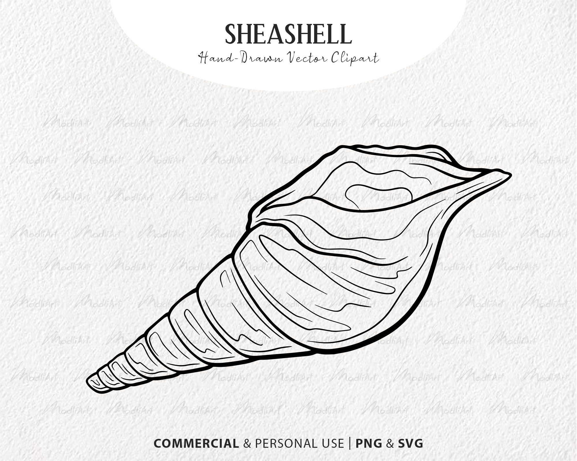Seashell SVG Clipart. Ocean Themed Vector Line Drawing. - Etsy