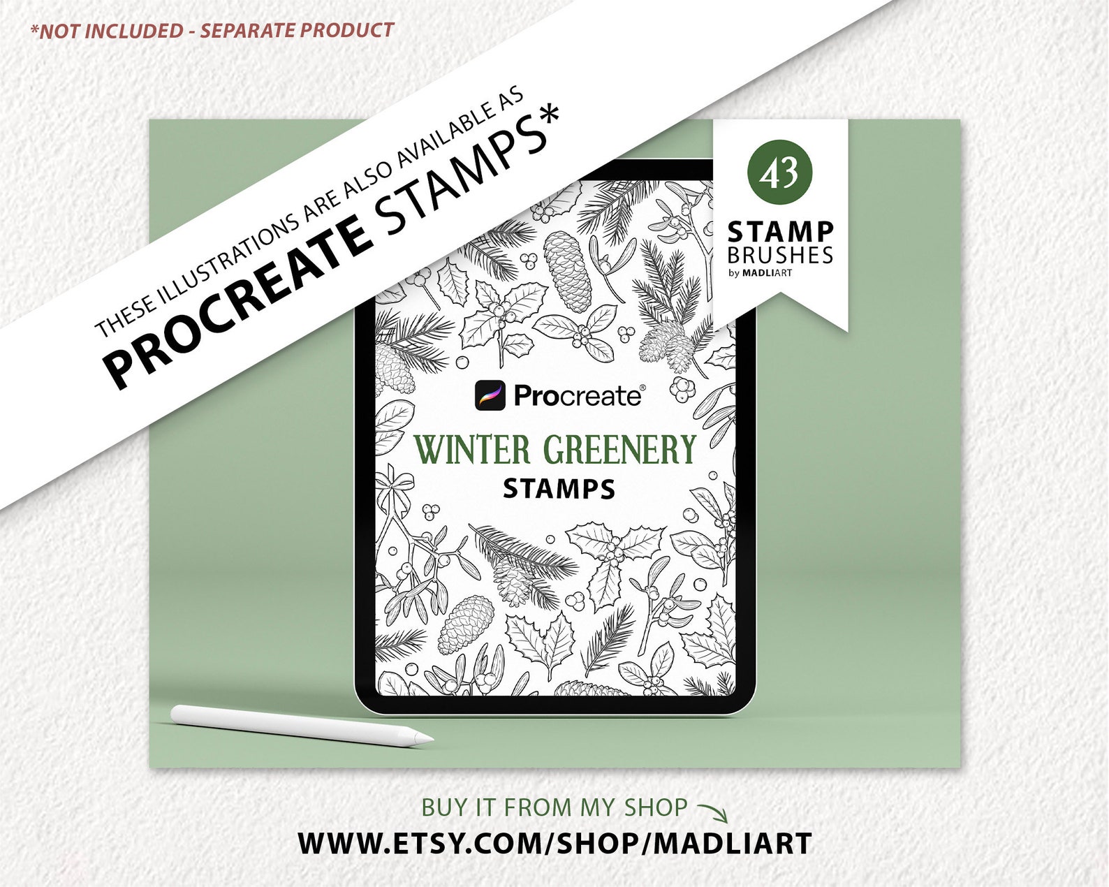 43 Winter Greenery Vector Clipart Bundle. Christmas Evergreen - Etsy