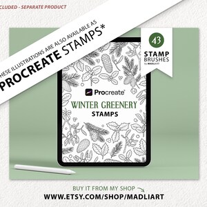 43 Winter Greenery Vector Clipart Bundle. Christmas Evergreen Plants ...