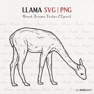 Llama SVG Clipart. Alpaca SVG Line Drawing. Llama Vector Drawing. Llama ...