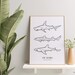 8 Procreate Shark Stamps. Sea Animal Tattoo Design. Great - Etsy