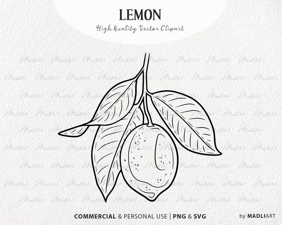 Lemon SVG Clipart. Vector Lemon. Lemon Tree Fruits. Citrus Slice ...