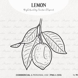 Lemon SVG Clipart. Vector Lemon. Lemon Tree Fruits. Citrus Slice Clipart. Lemonade Line ...