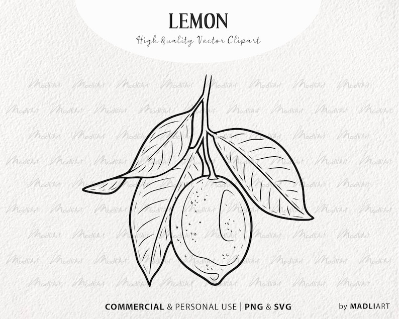 Lemon SVG Clipart. Vector Lemon. Lemon Tree Fruits. Citrus - Etsy