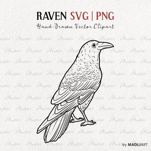 Raven SVG Clipart. Crow Vector Line Drawing. Halloween Crow Clipart ...