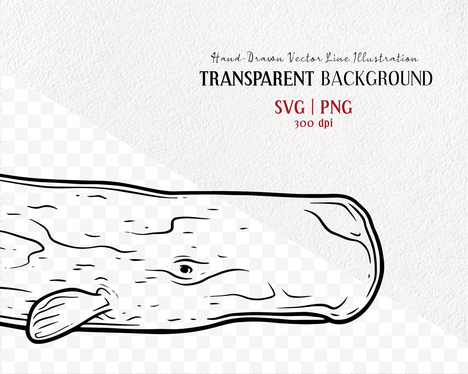 Sperm Whale Vector Clipart. Digital Sea Animal Artwork. - Etsy