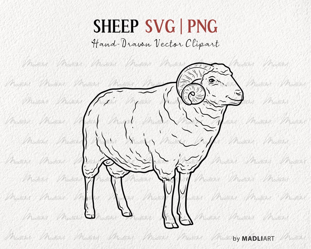 Ram SVG Clipart. Sheep Vector Line Art. Farm Animal Drawing. Sheep Line ...
