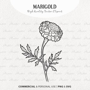 Marigold SVG Clipart. Spring Marigold Vector Blossom. Flower Stalk Line ...