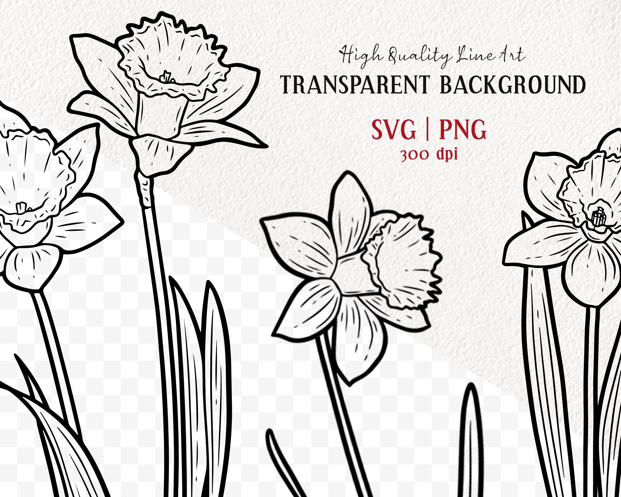 10 Daffodils SVG Clipart Bundle. Spring Daffodil Blossoms. Flower ...