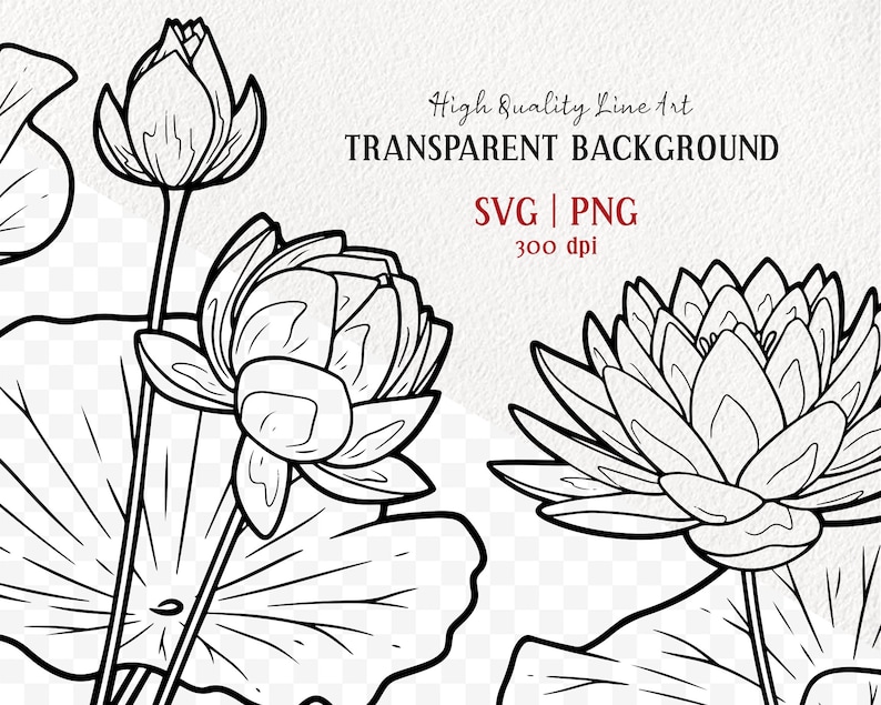 10 Lotus Flower SVG Bundle. 4 Water Lily Clipart Line Drawings. Lotus ...