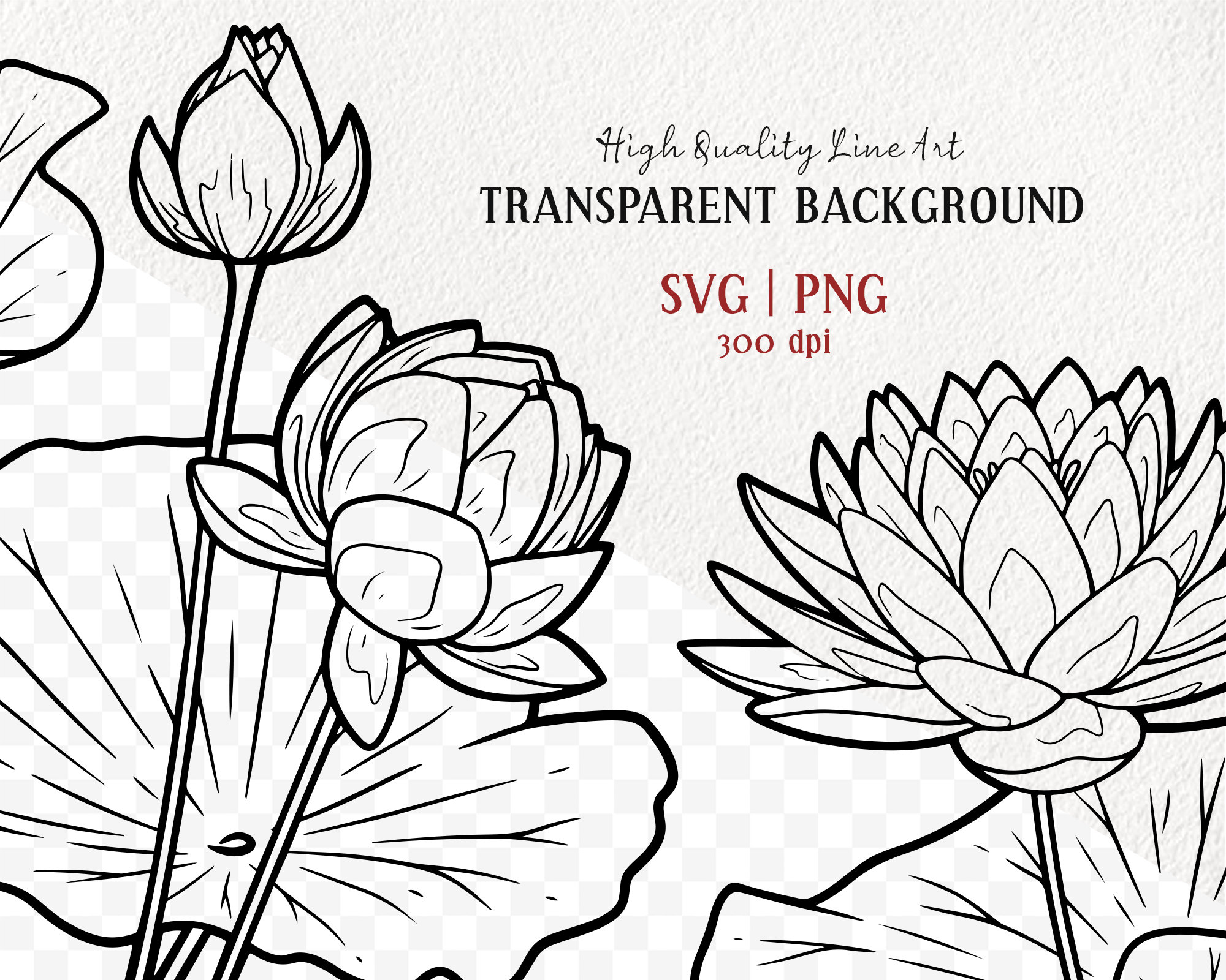 10 Lotus Flower SVG Bundle. 4 Water Lily Clipart Line Drawings. Lotus ...