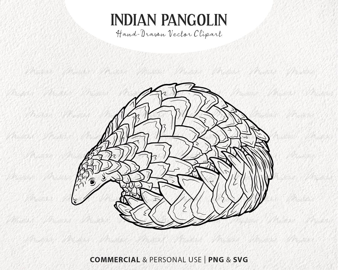 Indian Pangolin SVG Vector Clip Art. Endangered Pangolin Vector Artwork ...