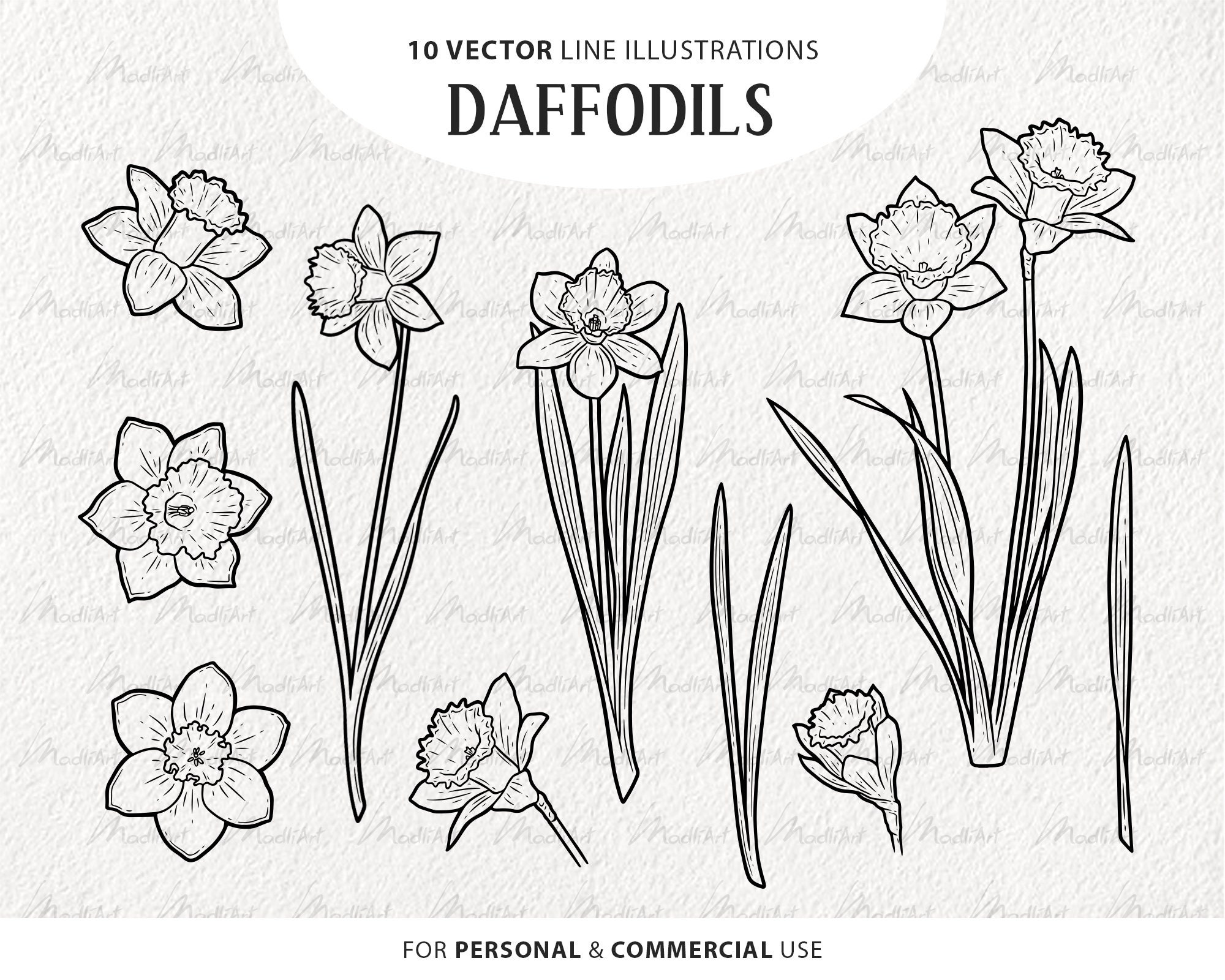 10 Daffodils SVG Clipart Bundle. Spring Daffodil Blossoms. - Etsy Australia