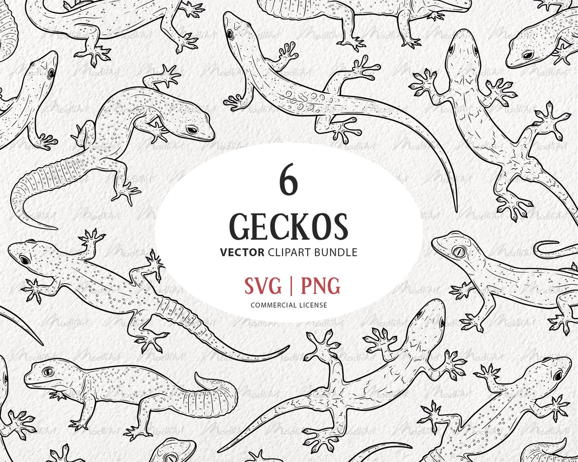 6 Geckos SVG Clipart Bundle. Lizard Vector Drawings. Leopard - Etsy