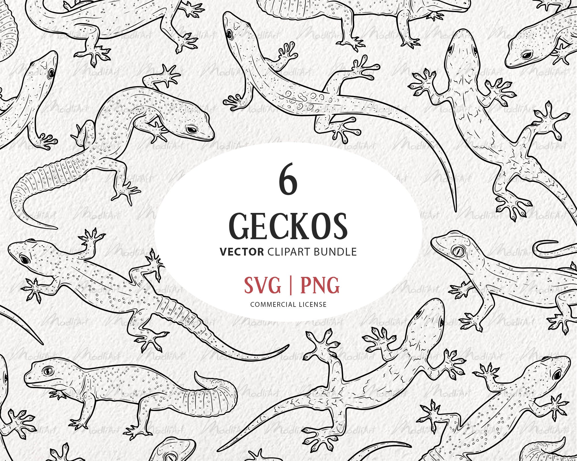 6 Geckos SVG Clipart Bundle. Lizard Vector Drawings. Leopard - Etsy ...