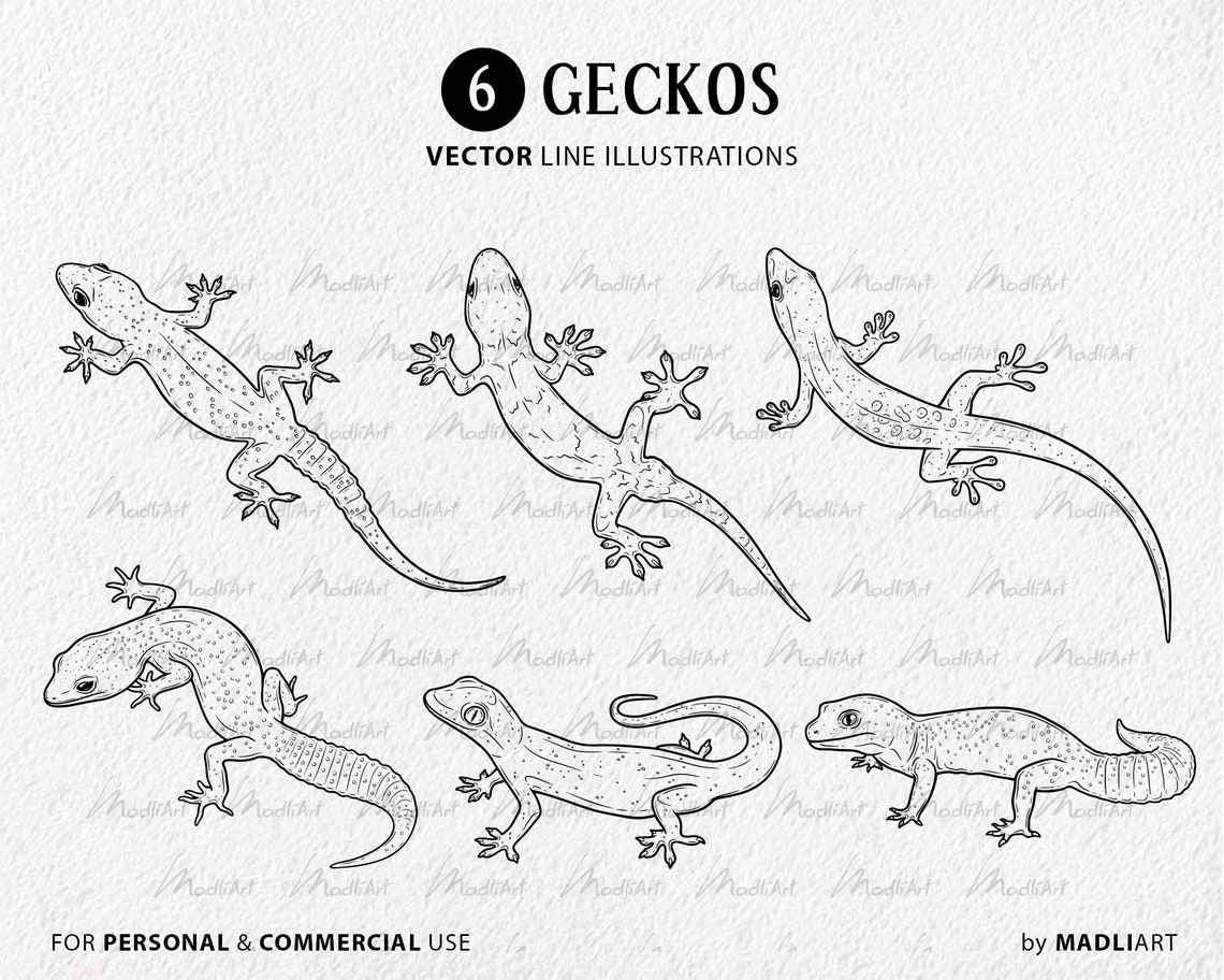 6 Geckos SVG Clipart Bundle. Lizard Vector Drawings. Leopard - Etsy