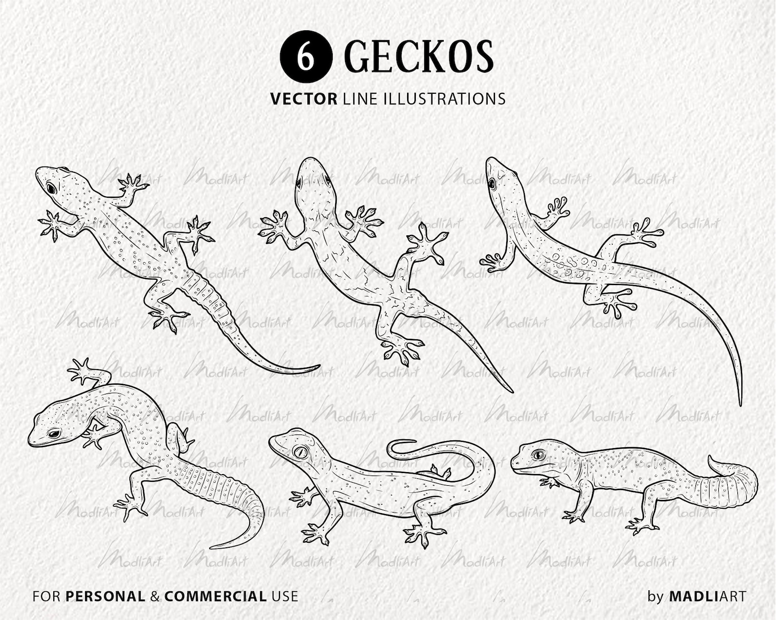 6 Geckos SVG Clipart Bundle. Lizard Vector Drawings. Leopard - Etsy