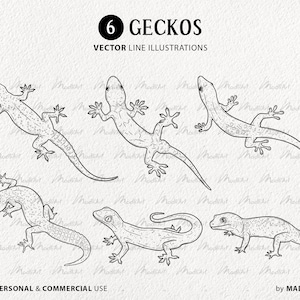 6 Geckos SVG Clipart Bundle. Lizard Vector Drawings. Leopard Gecko ...