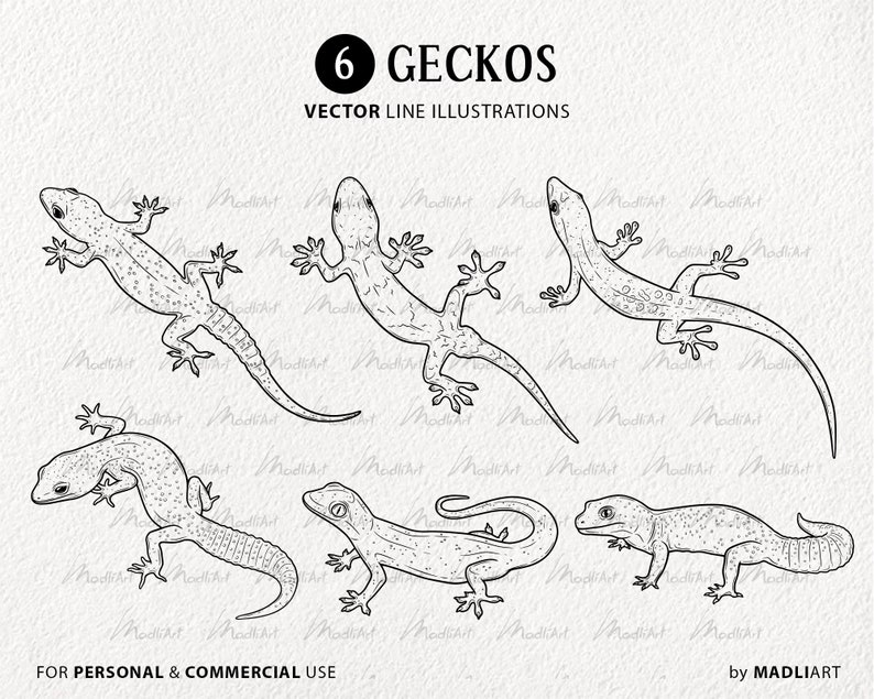 6 Geckos SVG Clipart Bundle. Lizard Vector Drawings. Leopard - Etsy