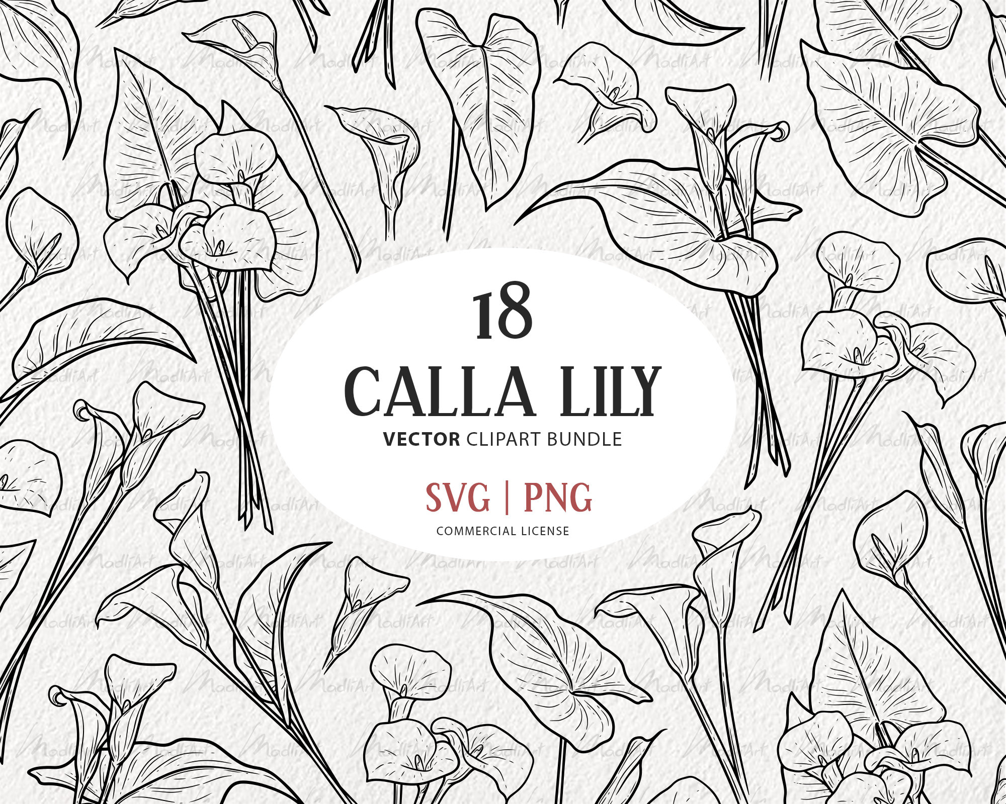 18 Calla Lily SVG Clipart Bundle. Spring Flower Vector - Etsy