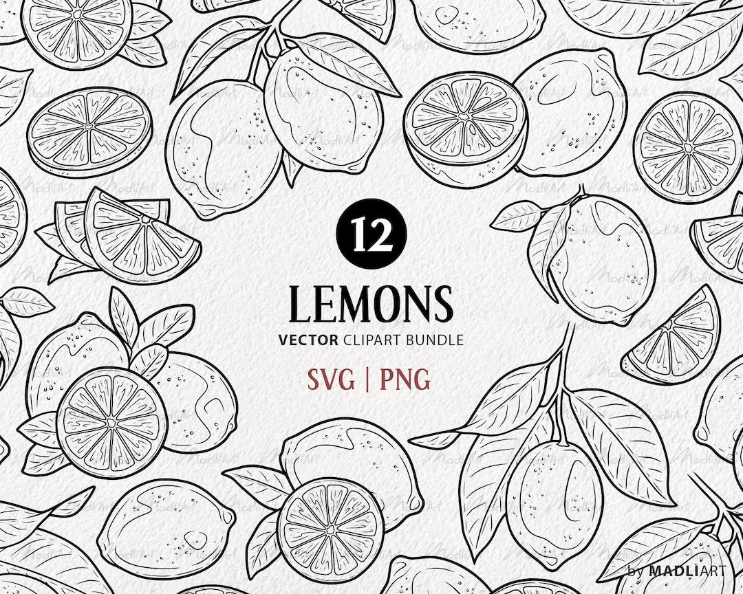 Lemon SVG Clipart Bundle. 12 Vector Lemons. Lemon Tree Fruits. Citrus ...