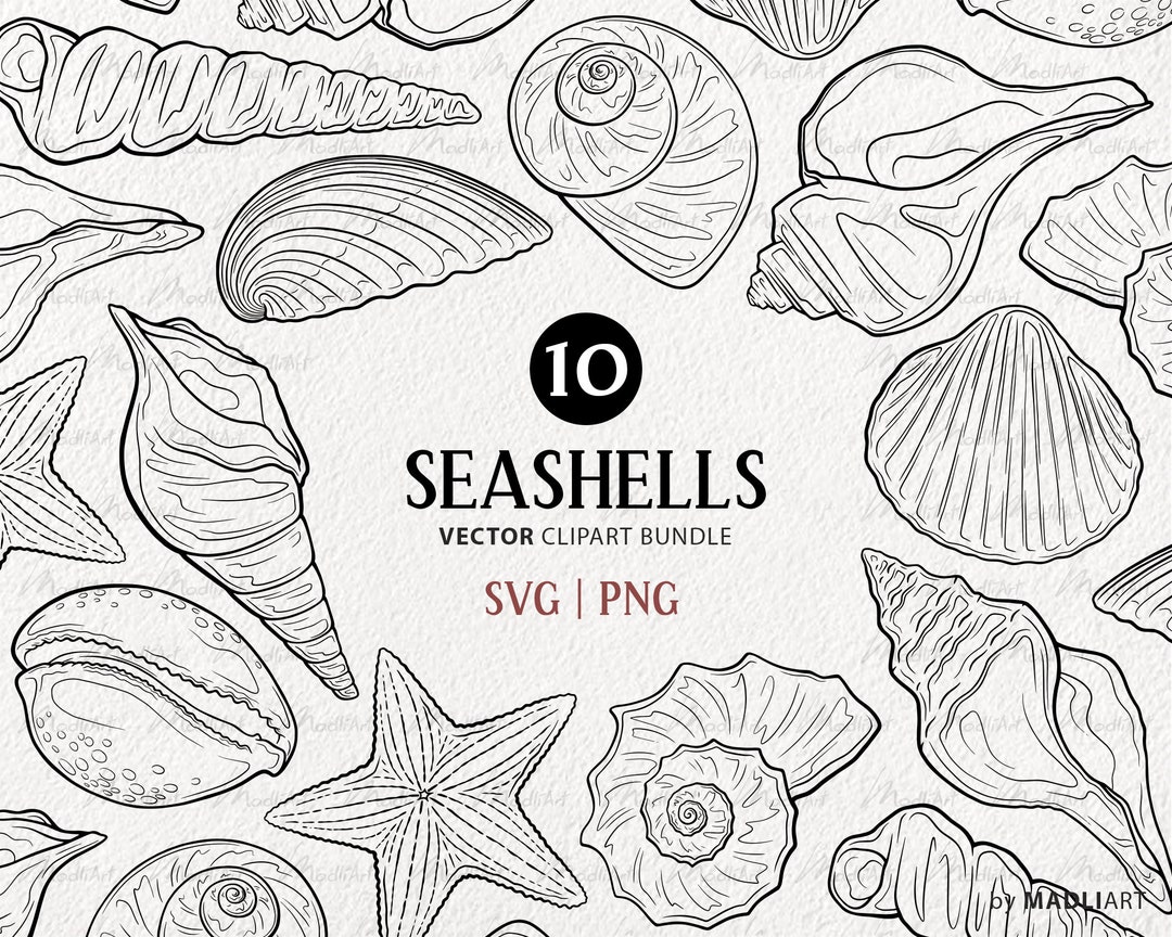 Seashell SVG Clipart Bundle. 10 Ocean Themed Vector Line Drawings ...