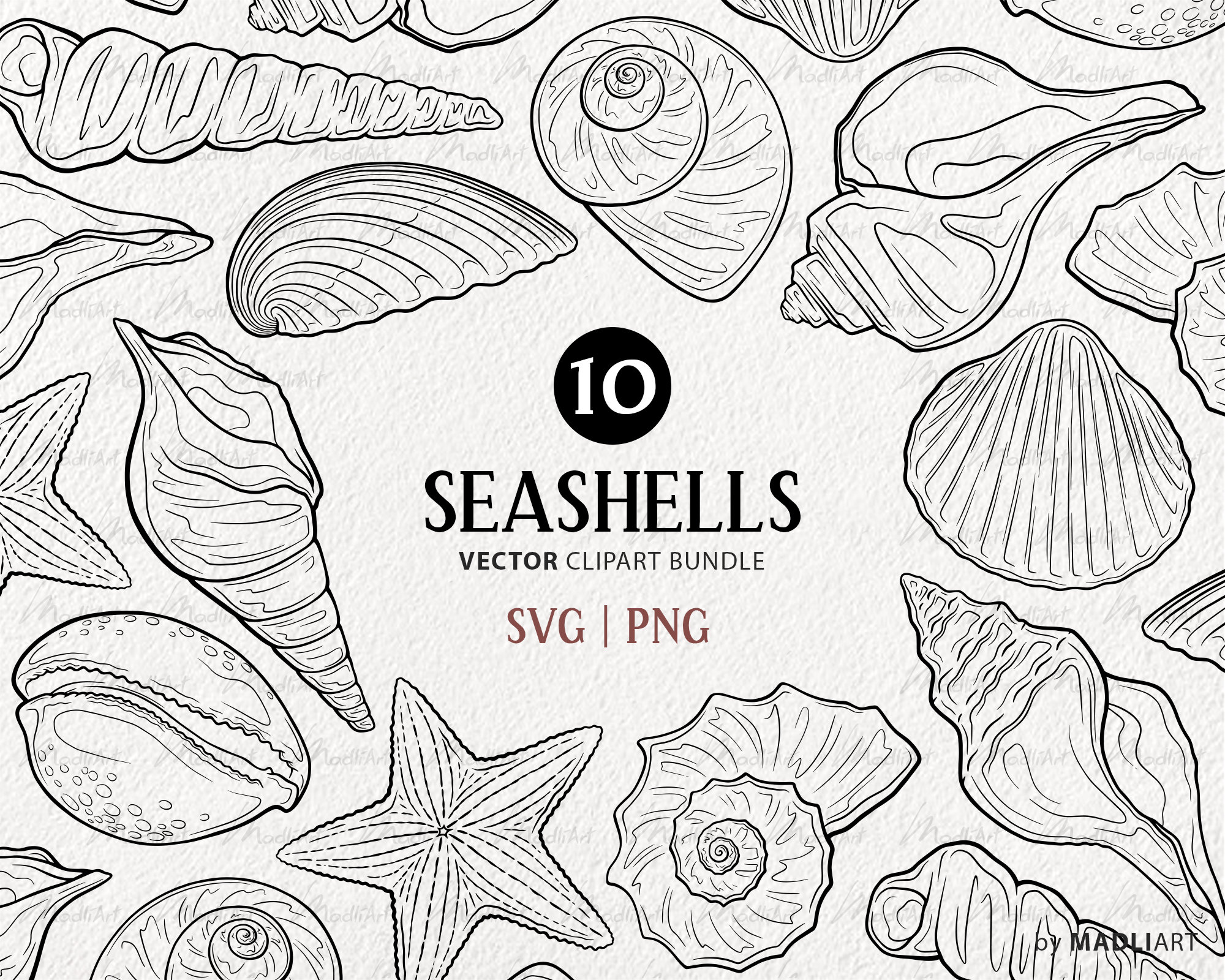 Seashell SVG Clipart Bundle. 10 Ocean Themed Vector Line Drawings ...