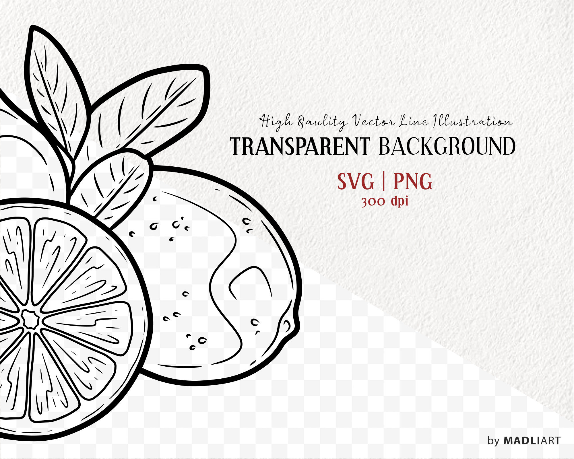 Lemon SVG Clipart. Vector Lemon. Lemon Tree Fruits. Citrus - Etsy