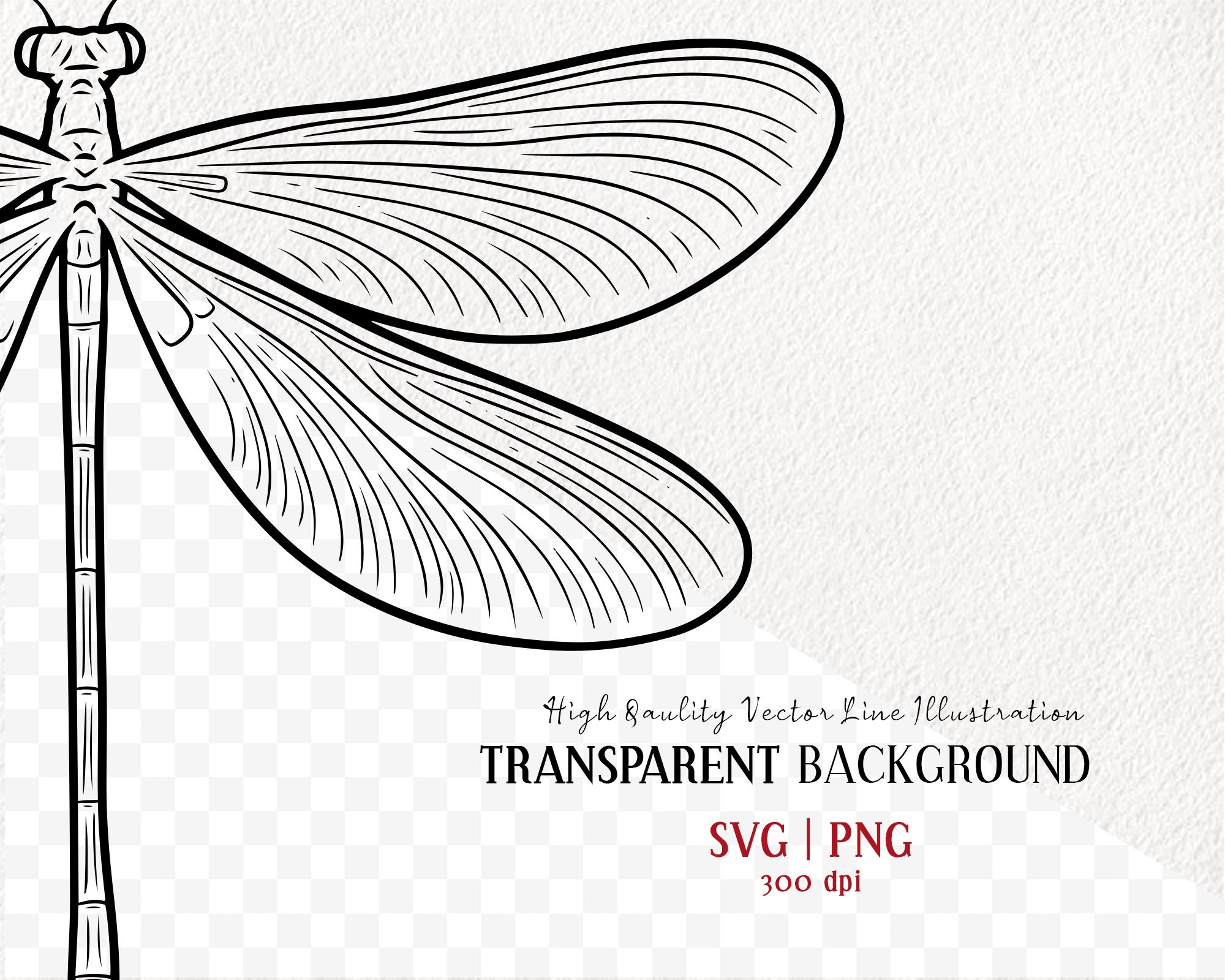 Simple Dragonfly Clipart