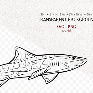 Leopard Shark SVG Clipart. Shark Vector Line Drawing. Ocean Animal Line ...