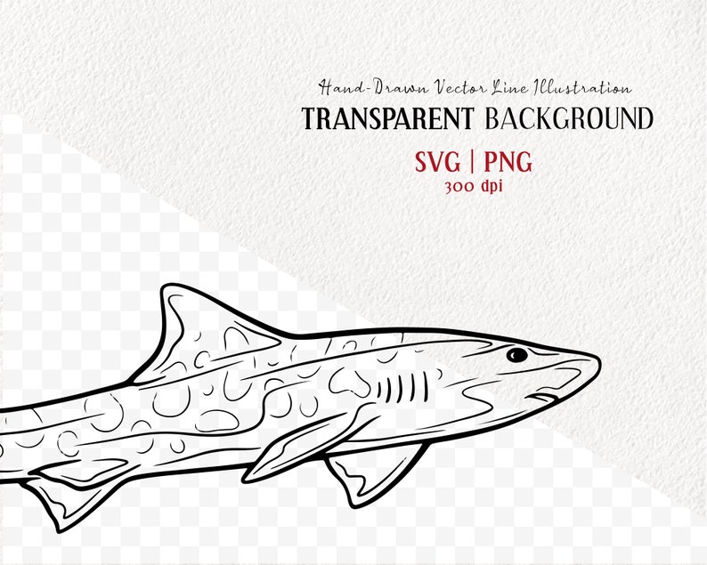 Leopard Shark SVG Clipart. Shark Vector Line Drawing. Ocean Animal Line ...