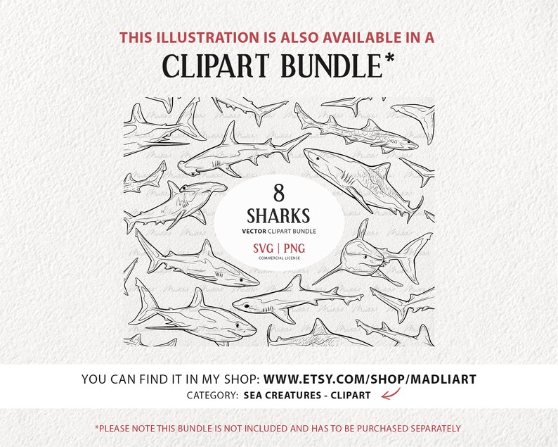 Blue Shark Vector Clipart. Hand-drawn Shark Line Drawing. Ocean Animals ...