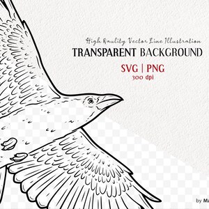 Raven SVG Clipart. Crow Vector Line Drawing. Halloween Crow Clipart ...