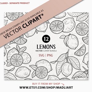 12 Lemon Procreate Stempel. Zitrone svg Tattoo Art. Sommer Obst Pflanze ...