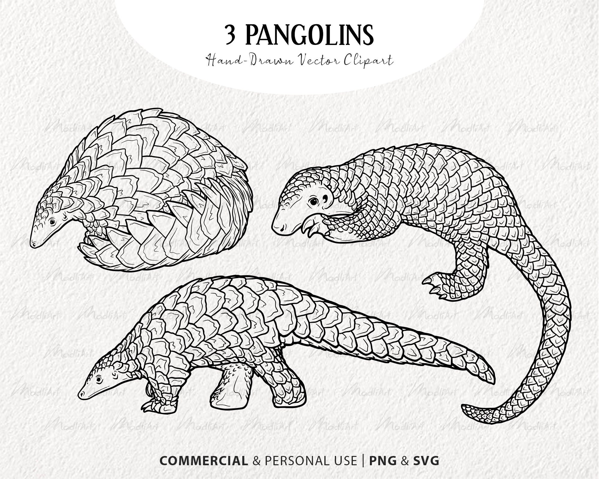 Pangolin Vector Clipart. Digital Endangered Animal Artwork. - Etsy UK