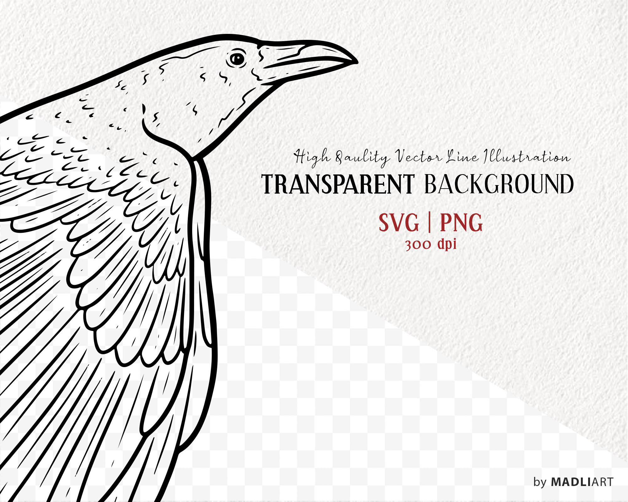 Flying Raven SVG Clipart. Crow Vector Line Drawing. Flying Crow Clipart ...
