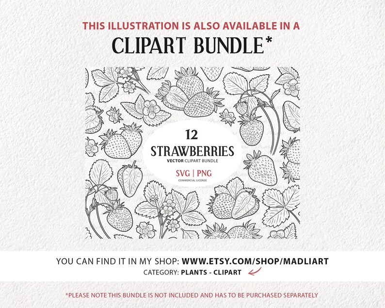 Strawberry SVG Clipart. Vector Strawberry Plant Outline. - Etsy