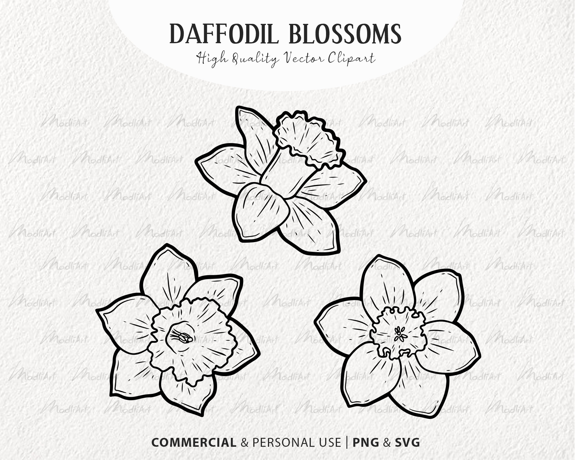 Clipart Fiore Narciso Modello 3D Fiore Narciso 3D Basso Poligonale