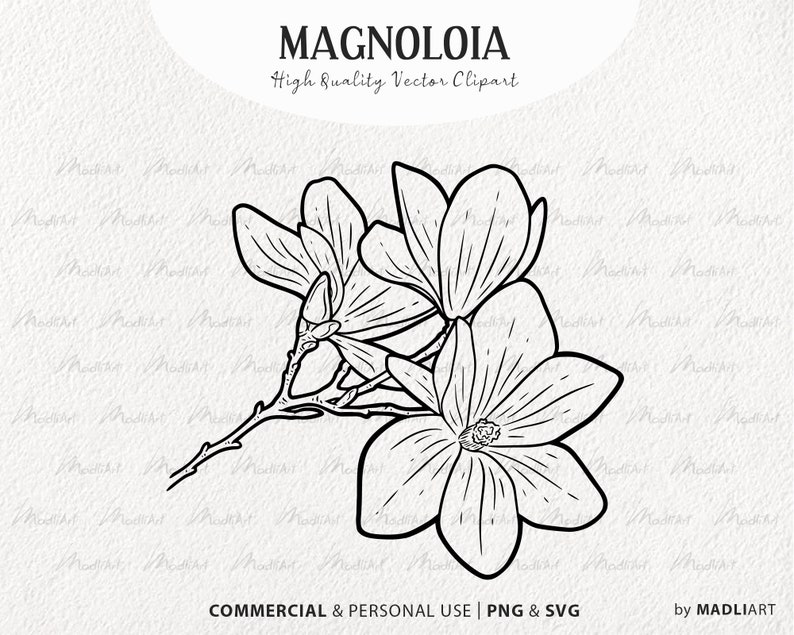 Magnolia Flower SVG Clipart. Magnolia Blossom Vector - Etsy