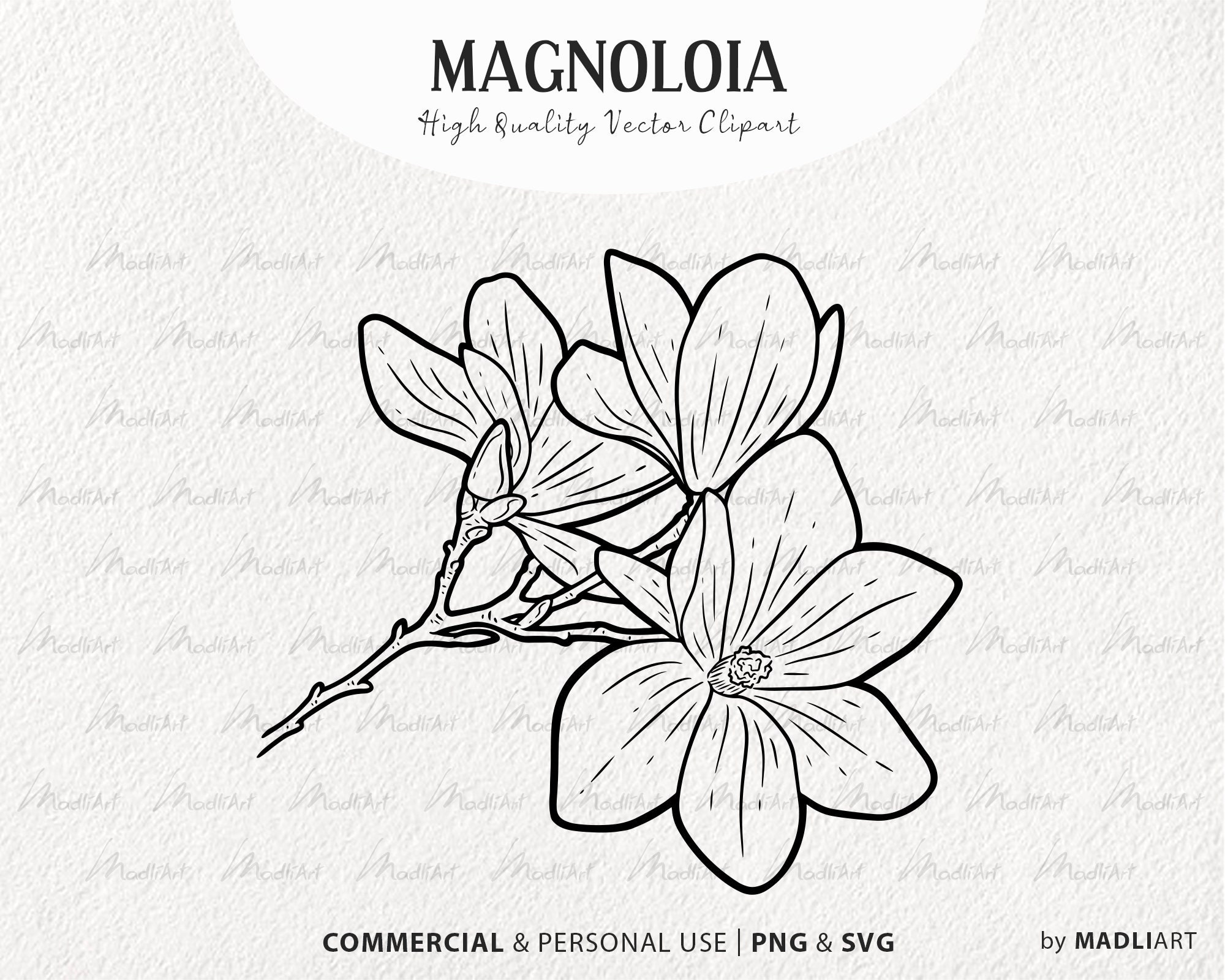 Magnolia Flower SVG Clipart. Magnolia Blossom Vector - Etsy