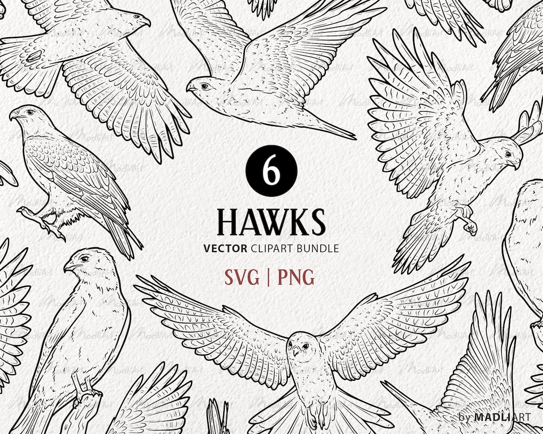 6 Hawks SVG Clipart Bundle. Eagle Vector Line Drawings. Bird of Prey ...