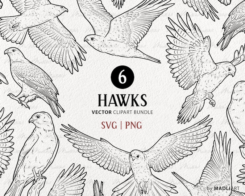 6 Hawks SVG Clipart Bundle. Eagle Vector Line Drawings. Bird of Prey ...
