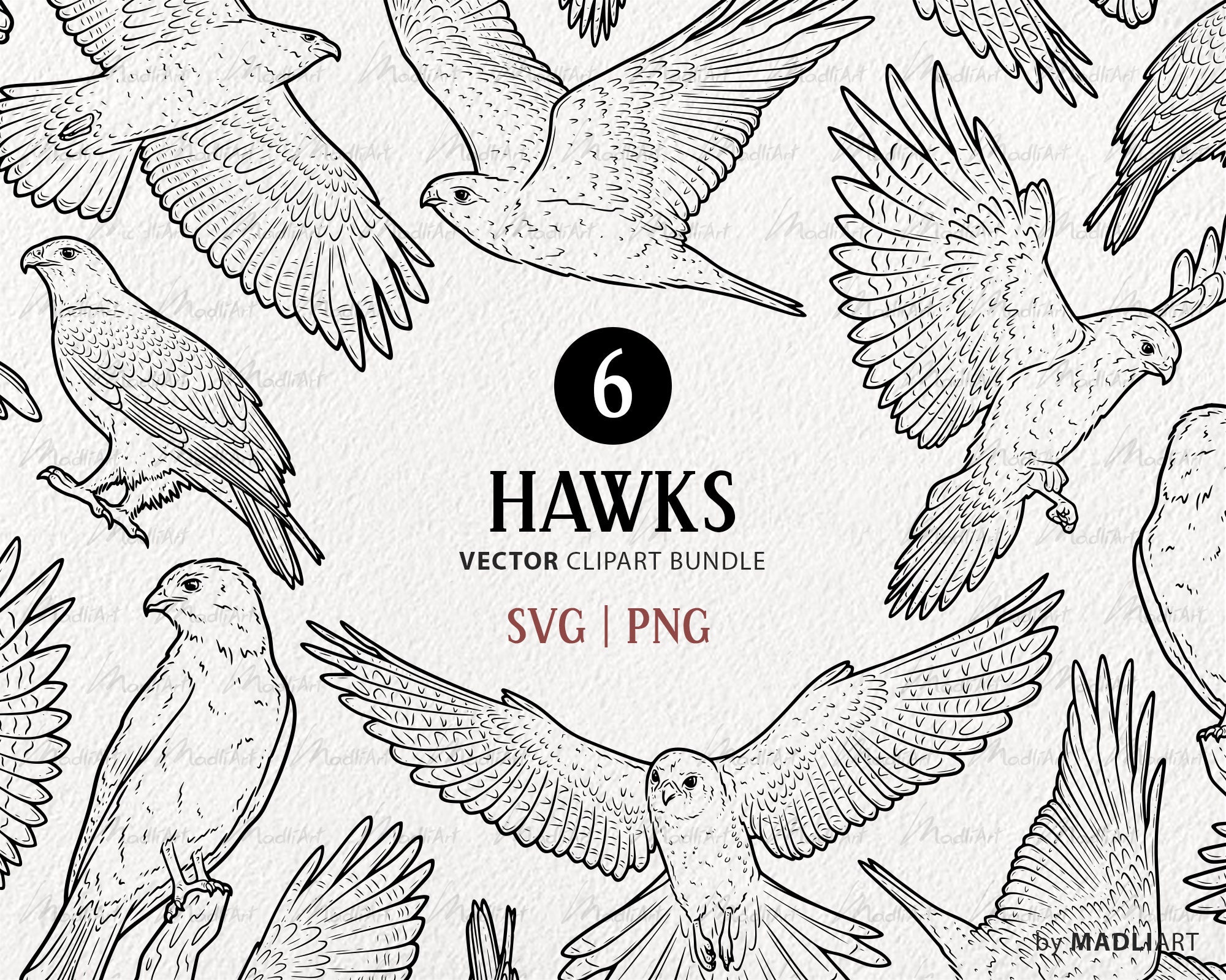 6 Hawks SVG Clipart Bundle. Eagle Vector Line Drawings. Bird of Prey ...