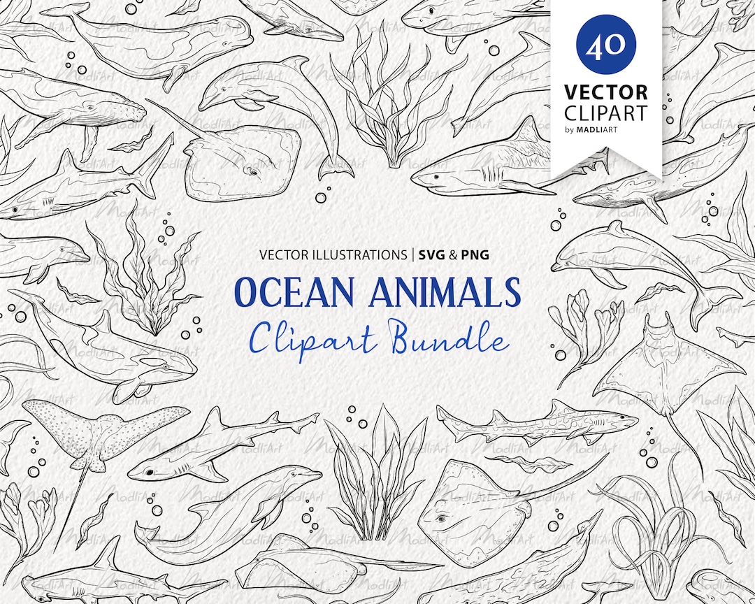 40 Ocean Animals Clipart Bundle. Sea Animals Vector Line Art ...